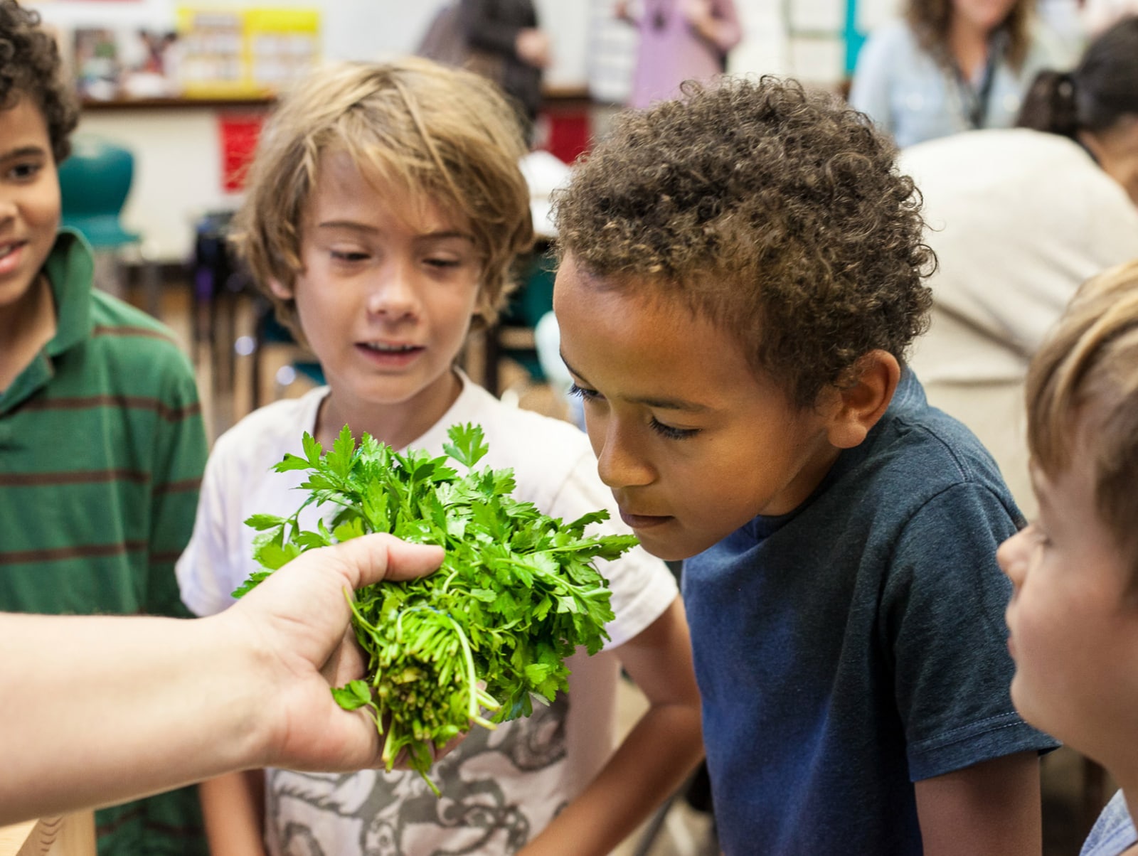 Home | Food Education Center